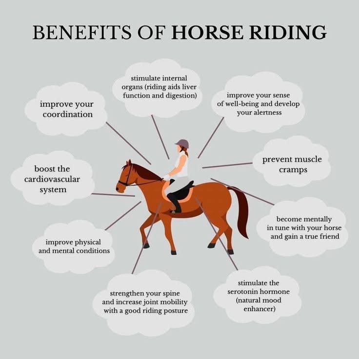 Riding is good for our bodies! | Valley Trail Riders